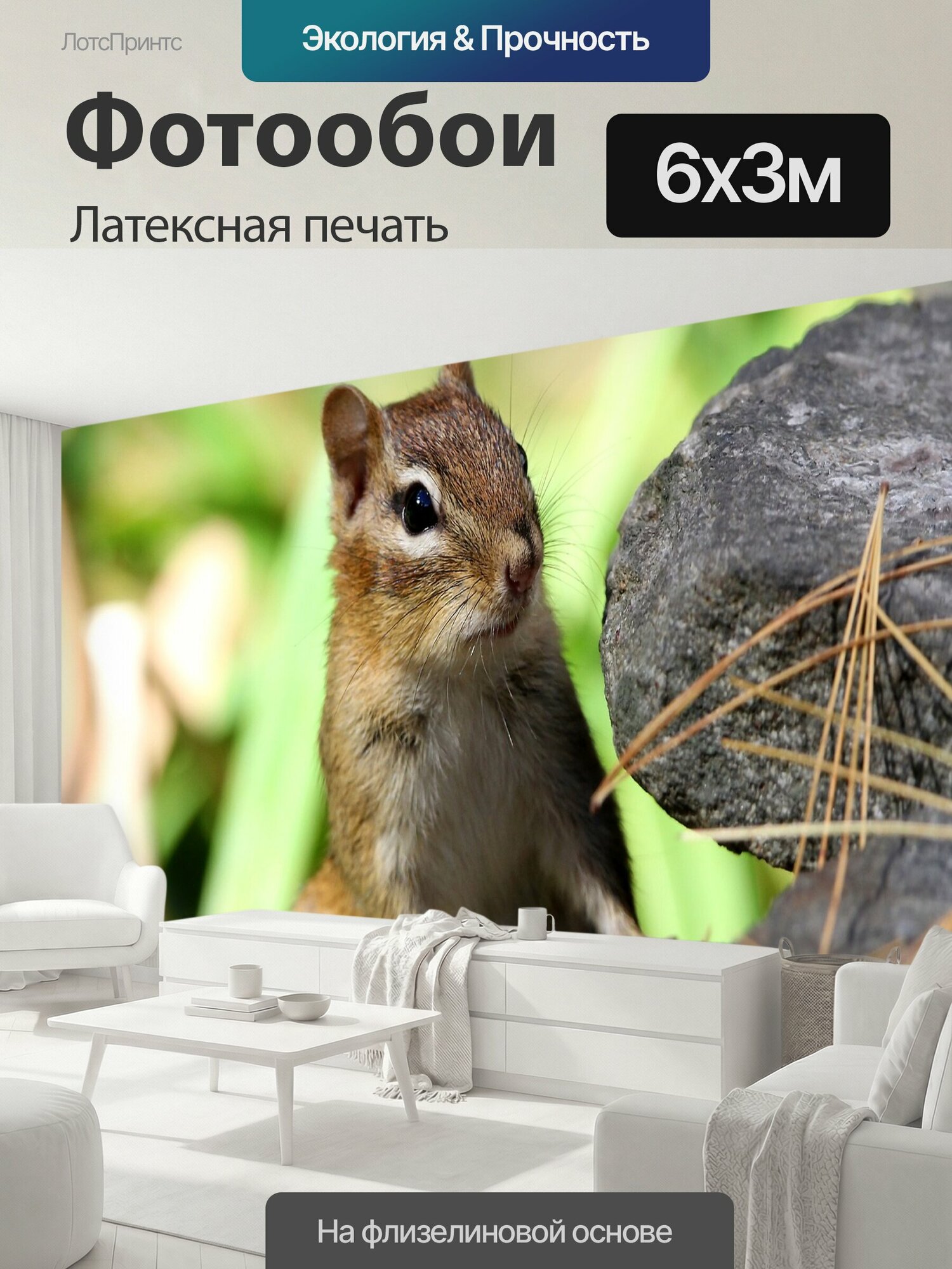 Фотообои моющиеся ударопрочные "Бурундук, грызун, животное" 600x300 см. латексная печать