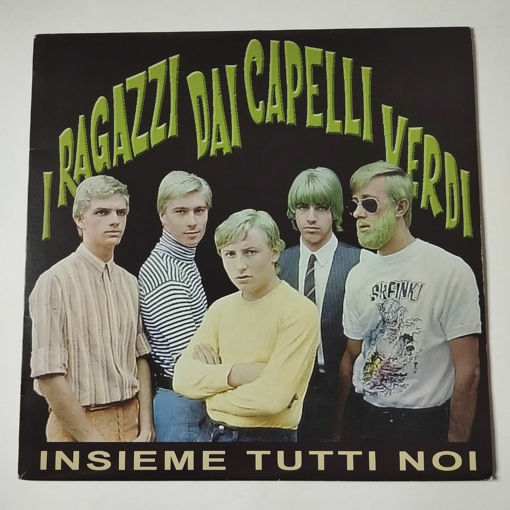 Винтажная виниловая пластинка LP I Ragazzi Dai Capelli Verdi Insieme Tutti Noi (Italy 2008)