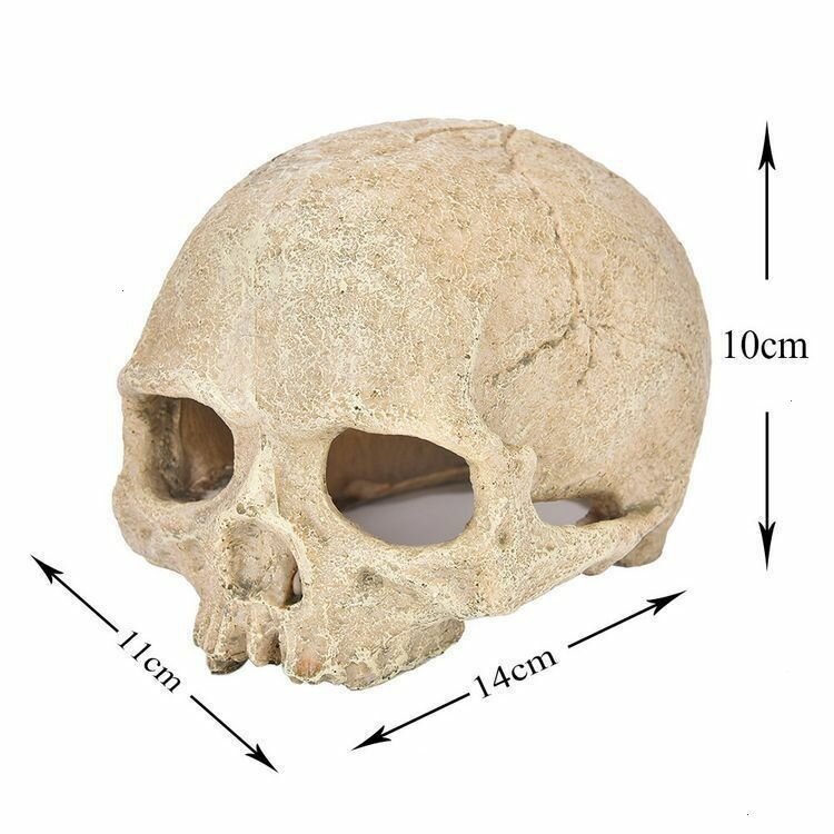 Декорация для аквариума