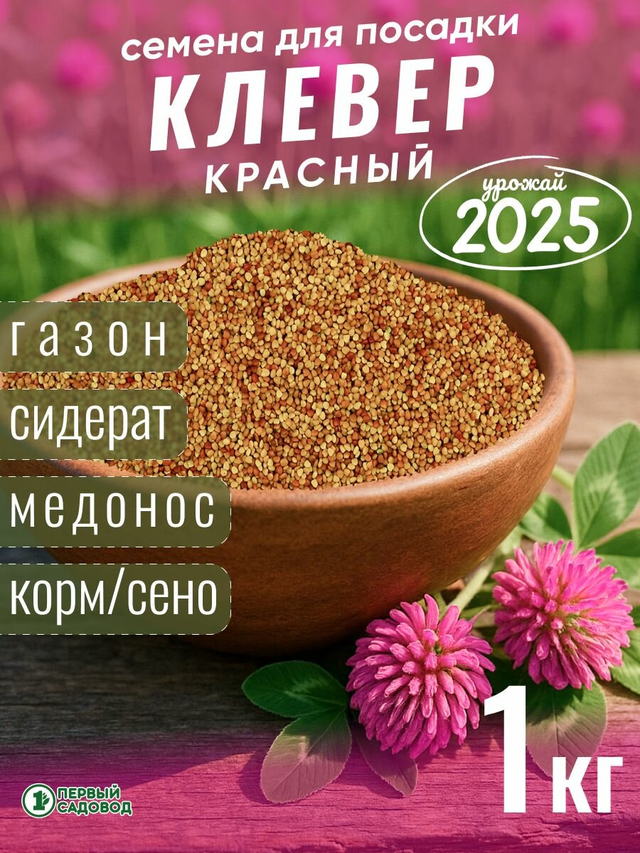 Семена сидерата красный клевер, газонная трава 1 кг сидерат газон