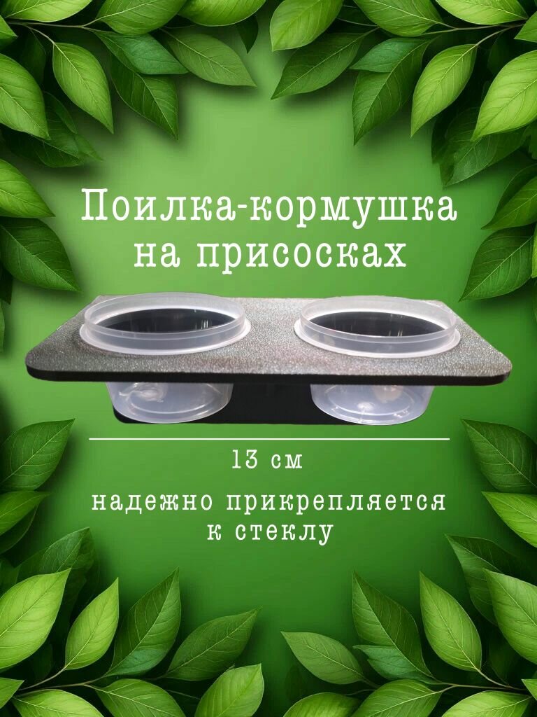 Поилка кормушка для террариума на присосках для гекконов