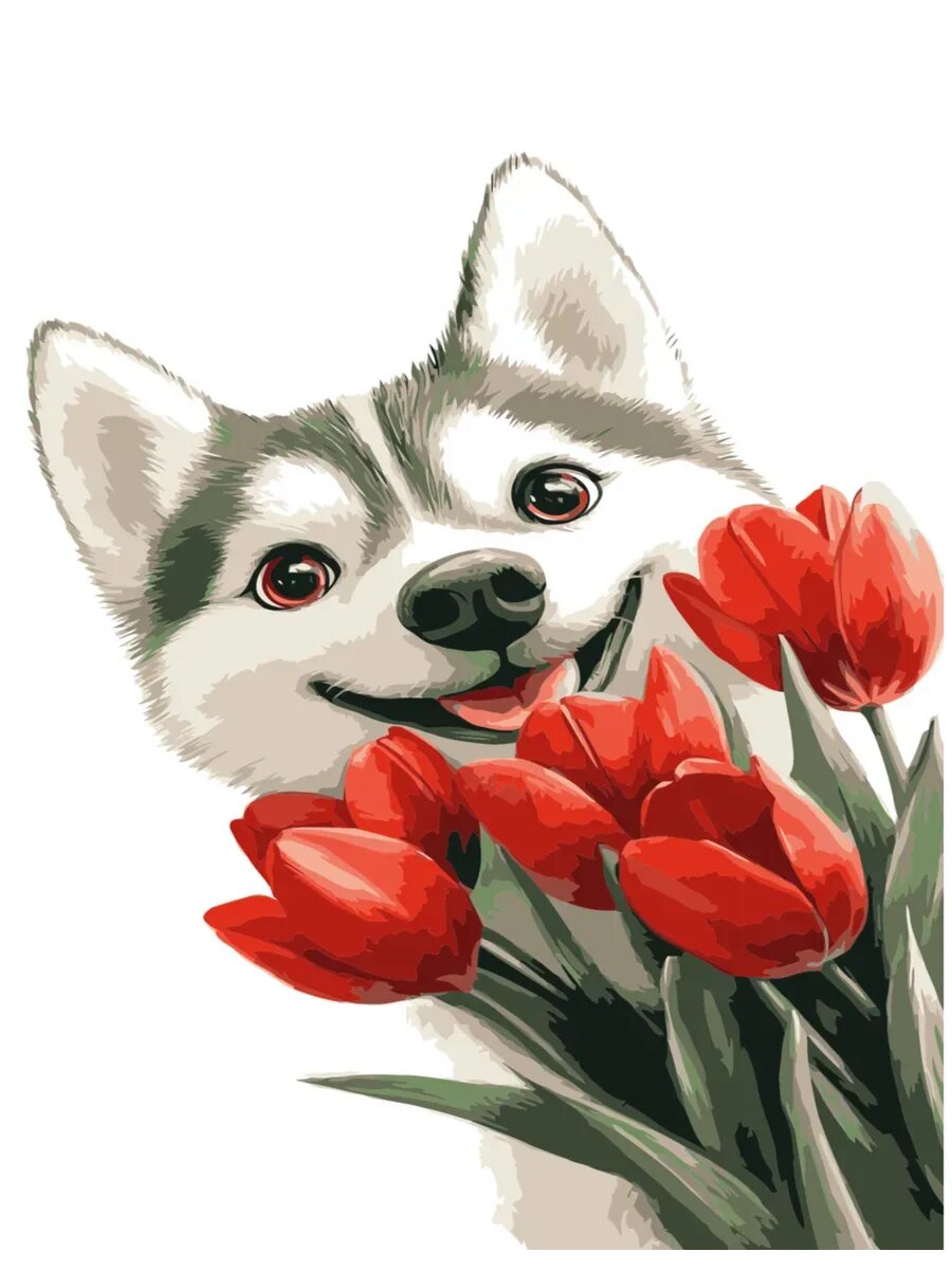 Картина по номерам хаски