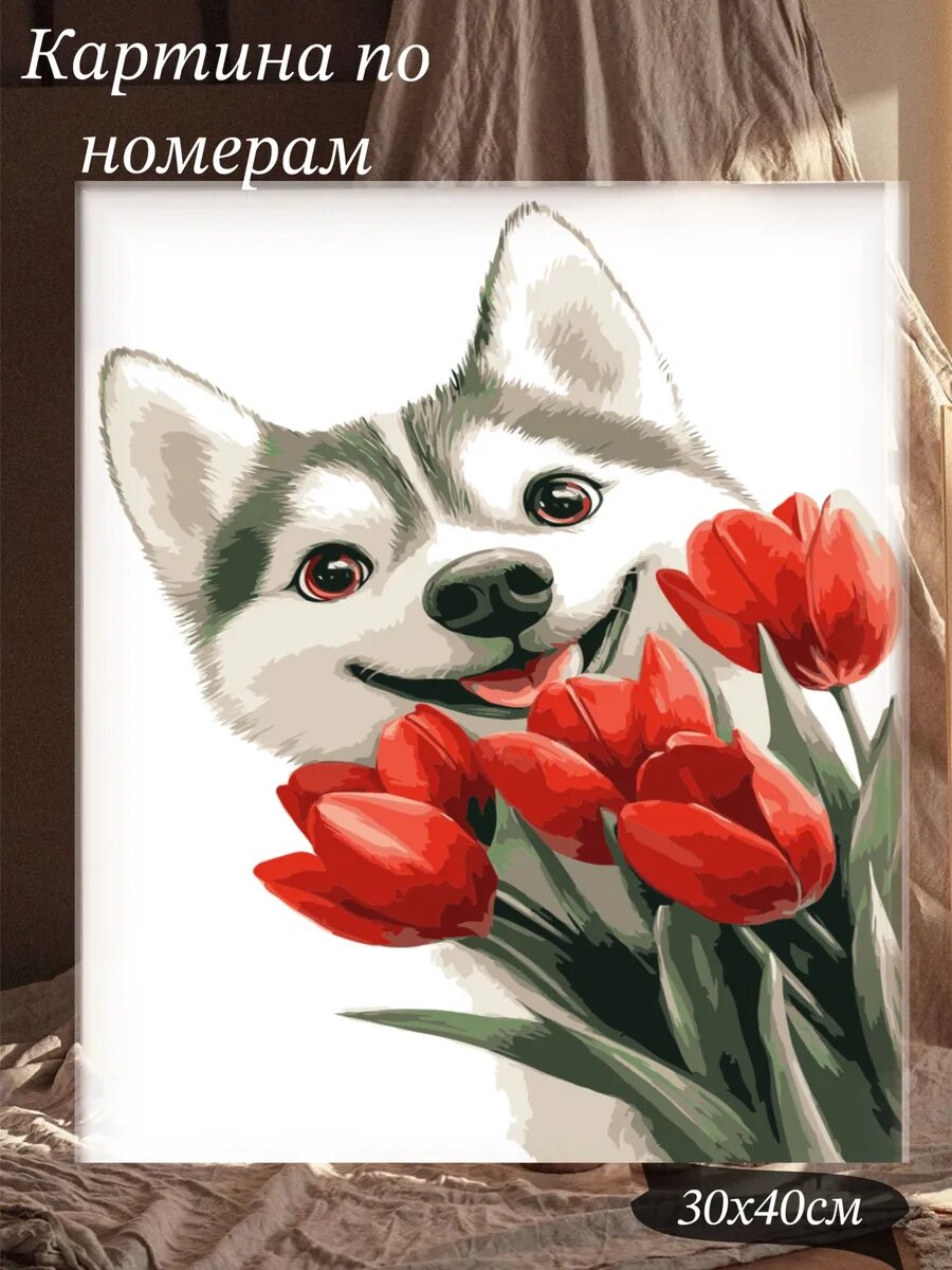 Картина по номерам хаски