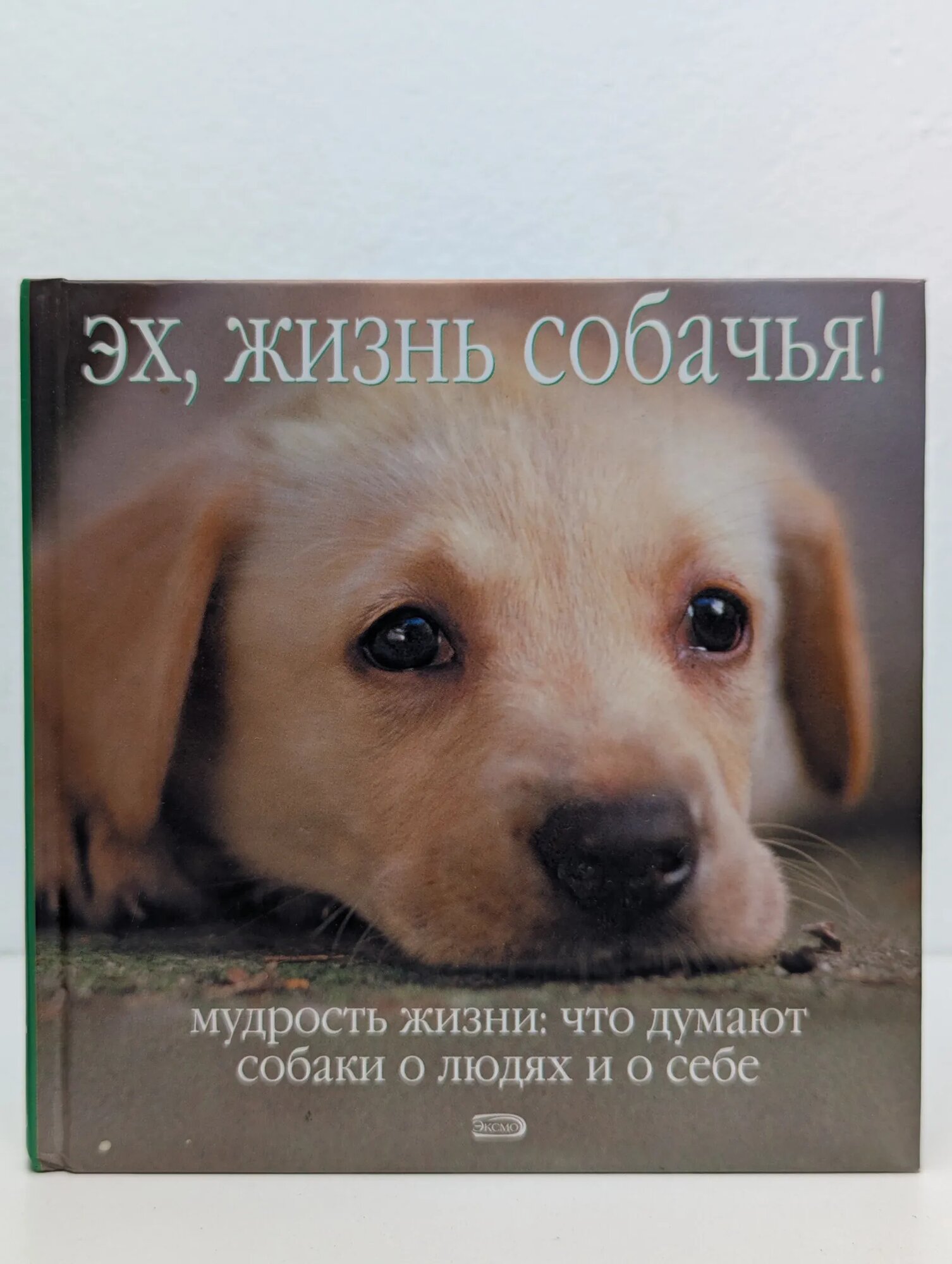 Эх, жизнь собачья! Мудрость жизни: что думают собаки о людях и о себе Сборник 2005