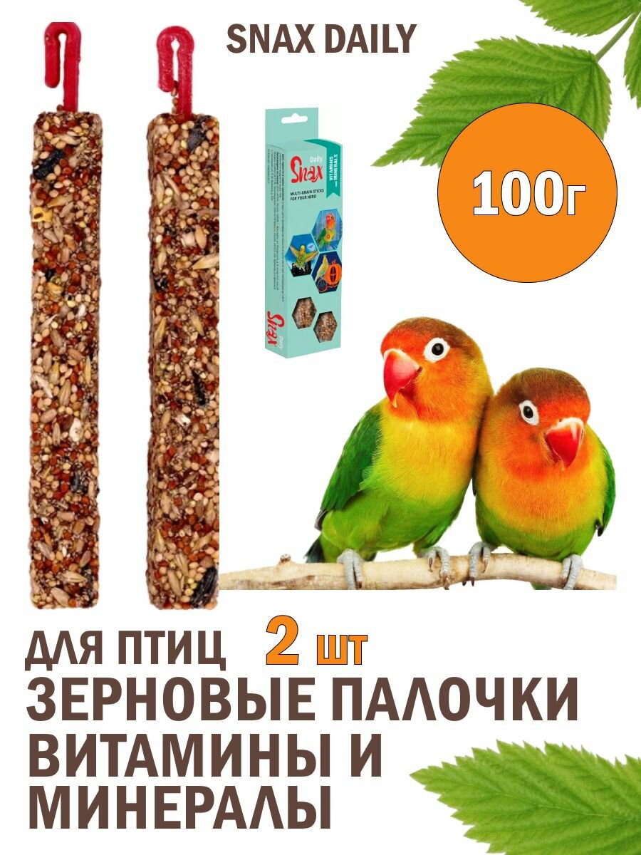 Snax Daily Зерновые палочки для птиц с витаминами и минералами 2шт 100г
