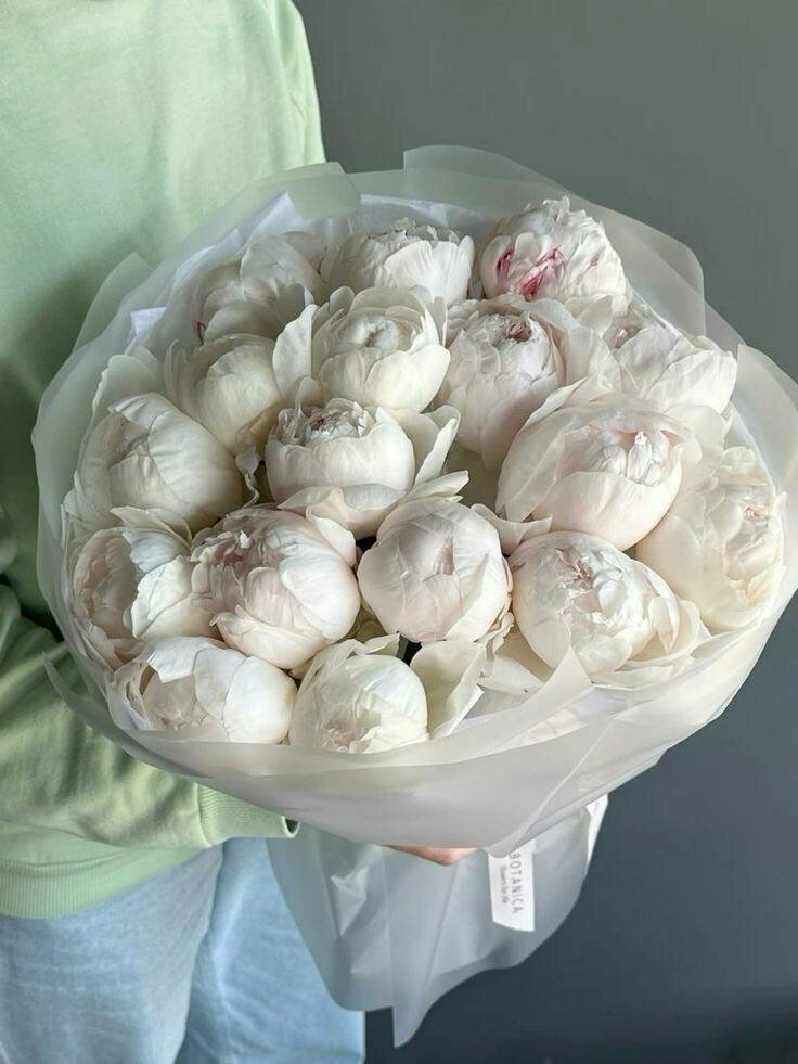 Монобукет "Букет из пионов", белый, в пленке, для особого случая