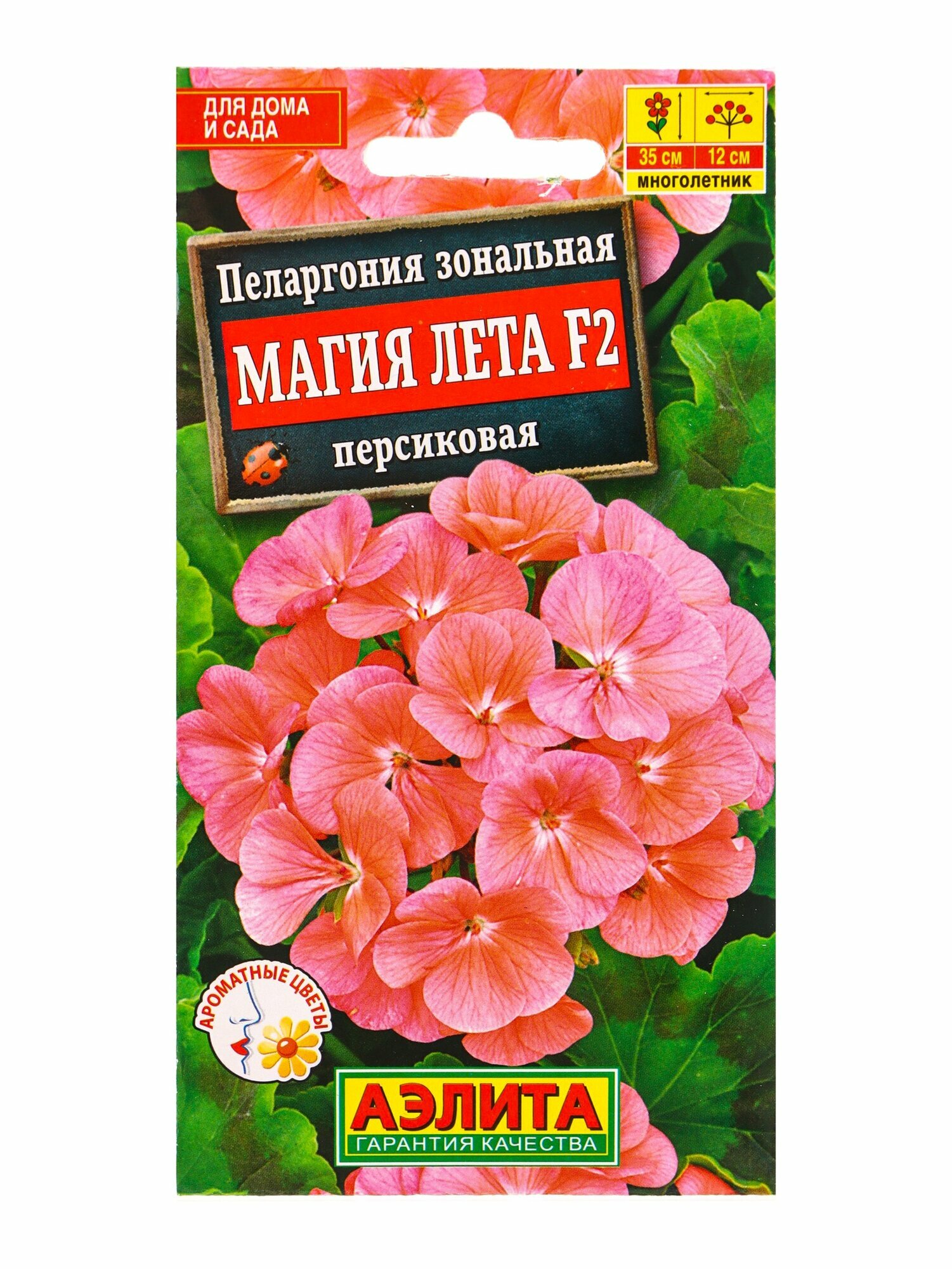 Семена цветов Пеларгония Магия лета F2 персиковая Мн, Ц/П,5 шт.