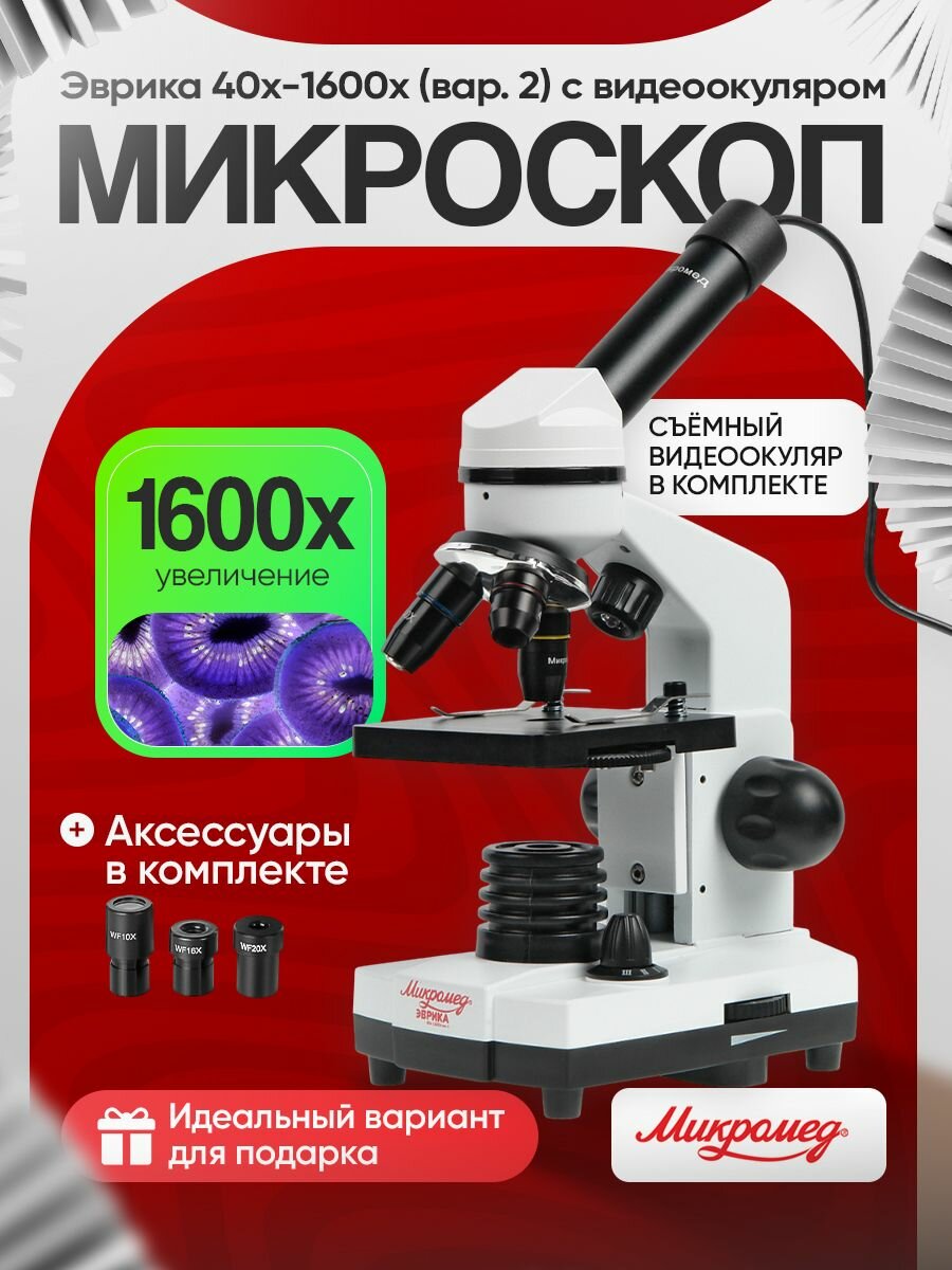 Микроскоп школьный Микромед Эврика 40х-1600х (вар. 2) с видеоокуляром туденческий лабораторный цифровой с видеоокуляром