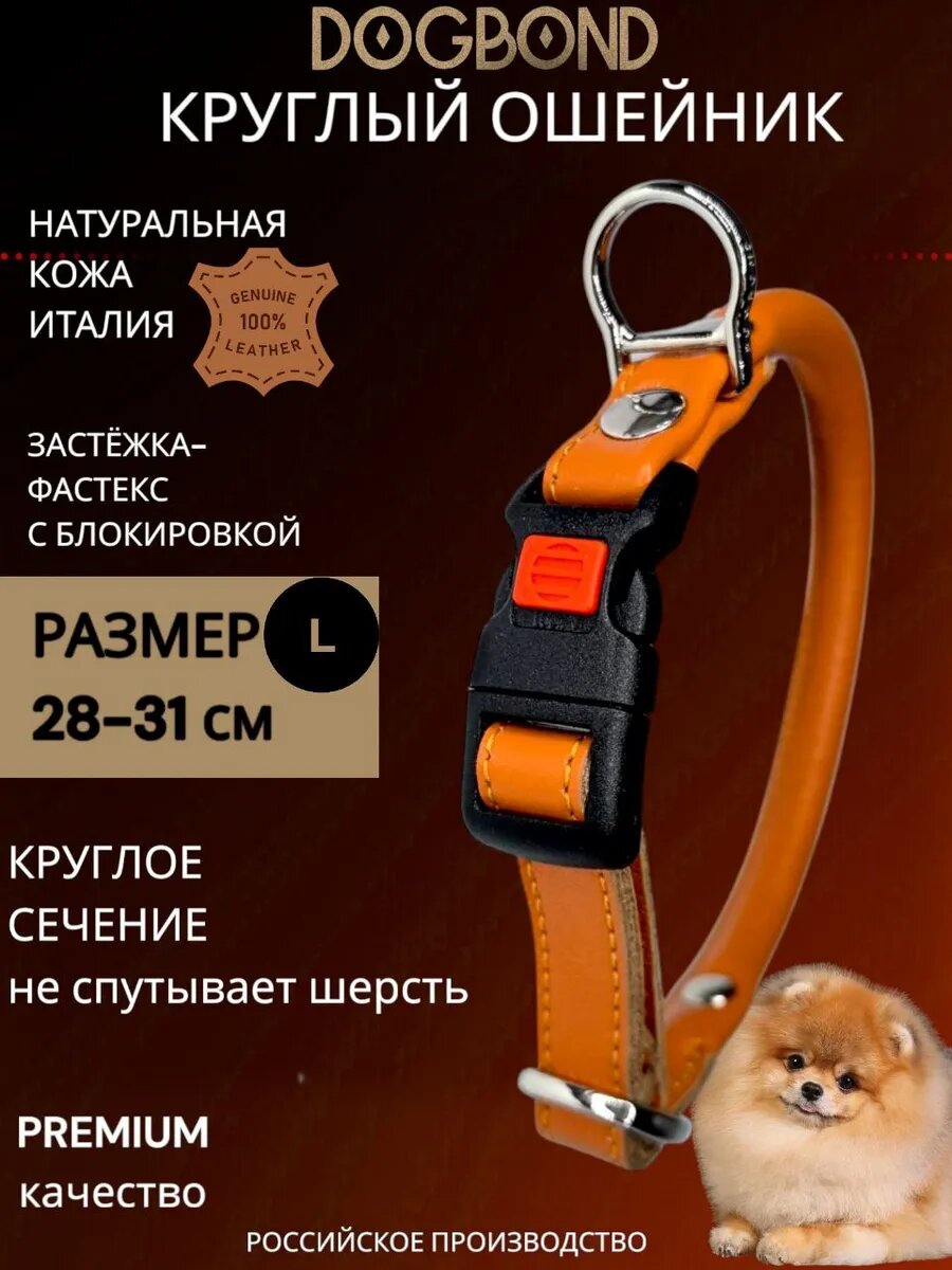 Dogbond Ошейник для шпица круглый кожаный 28-31 см