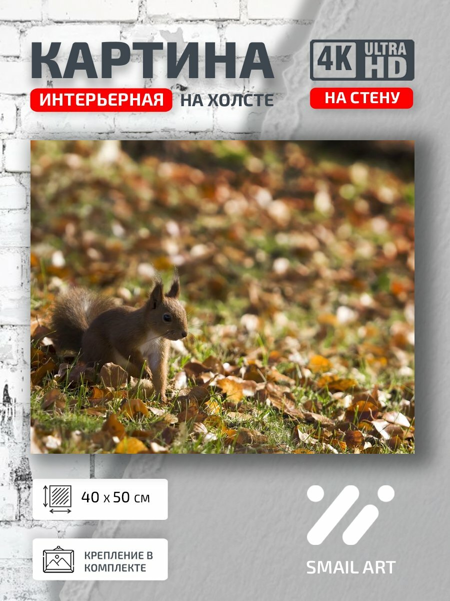 Картина на холсте интерьерная 40 на 50 на стену Осень Mood для офиса атмосфера интерьер