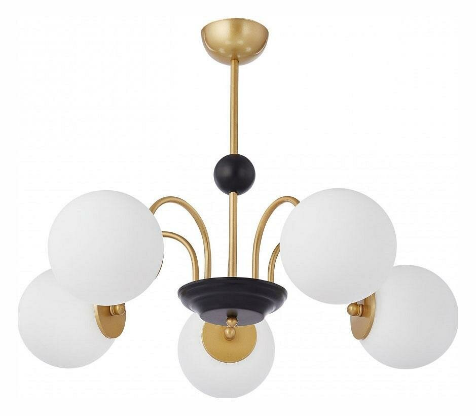 Люстра на штанге Arte Milano AM-Napoli 312066/D700/5 BS/BK Накаливания, Светодиодные Модерн