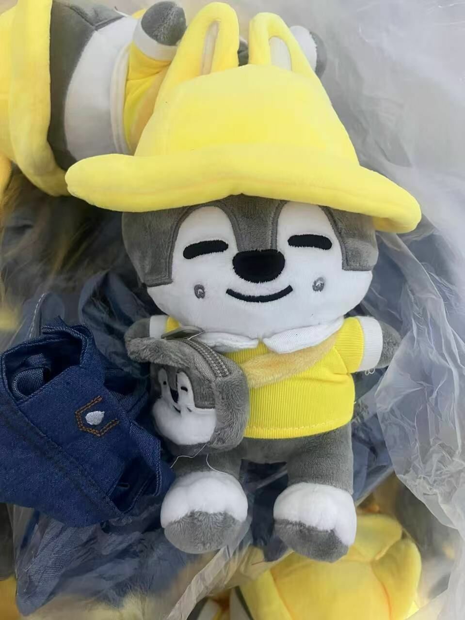 SKZOO Kpop stray kids Японский концерт Эксклюзивные плюшевые игрушки Kasuga Kindergarten Image