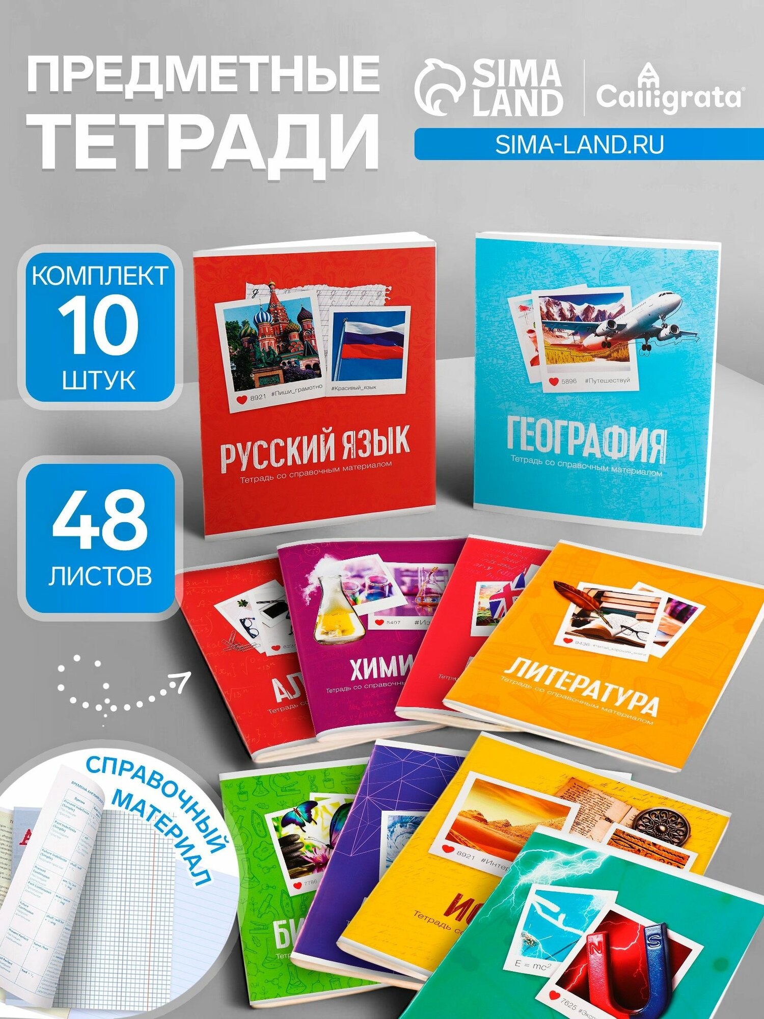 Набор предметных тетрадей 10 шт. по 48 листов