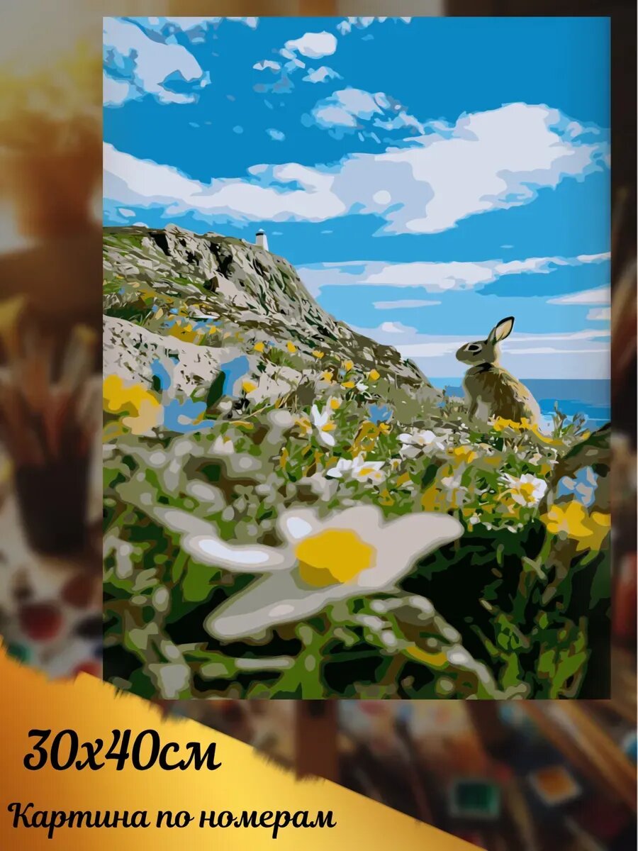 Картина по номерам заяц