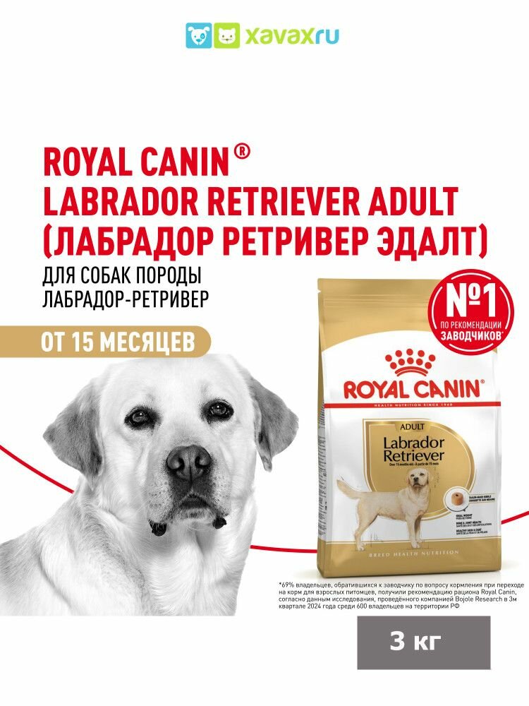 Сухой корм Royal Canin Labrador Retriever Adult для взрослых собак породы Лабрадор Ретривер от 15 месяцев, 3 кг