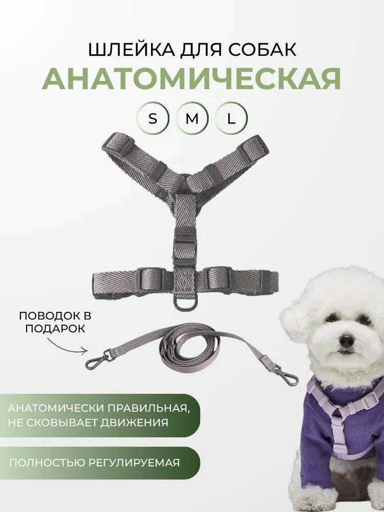 Анатомическая шлейка для собак мелких и средних пород и поводок, размер S, цвет серый, Paws&Tails
