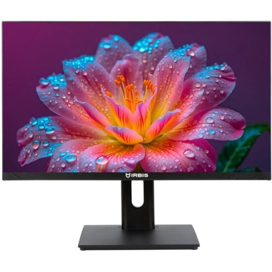 Монитор Irbis IPS 23.8" SMARTVIEW 24 Black (ISM24FIDR_U)