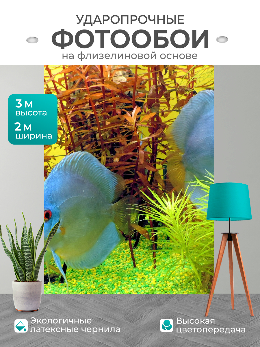 Фотообои моющиеся ударопрочные "Рыбы, аквариум, подводный мир" 200x300 см. флизелиновые на стену