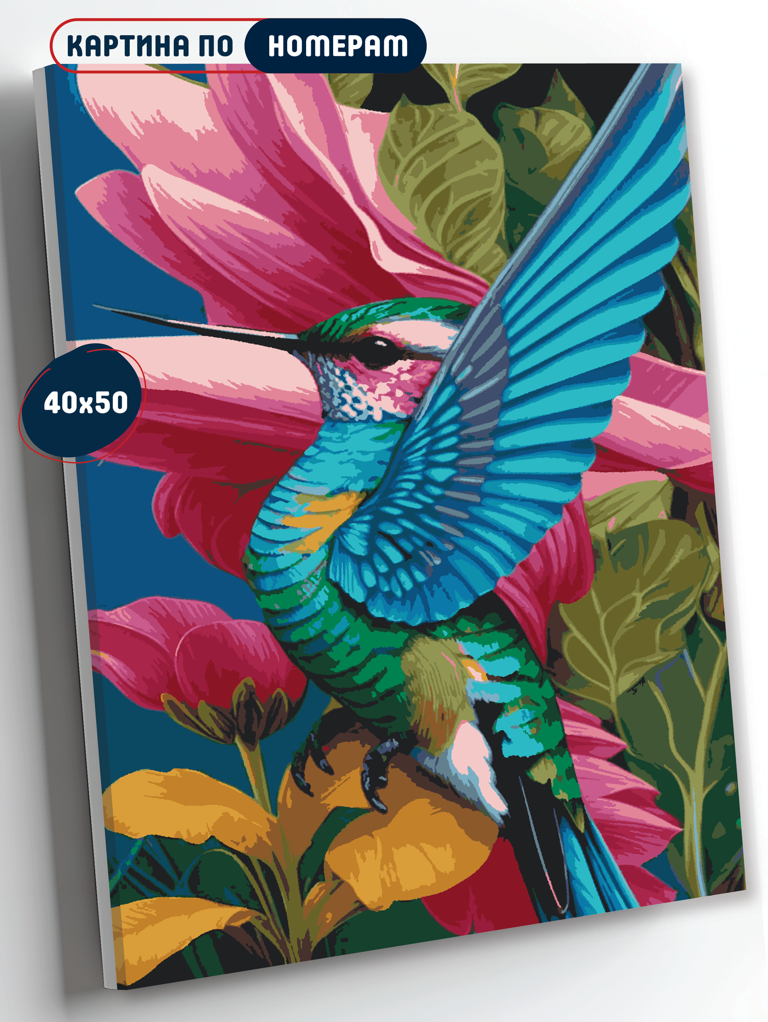 Картина по номерам "Колибри", Холст на подрамнике 40х50, набор для рисования