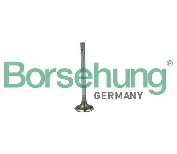 Клапан впускной Borsehung B19020 IN 99.2x5.97x26.5 мм, Audi, Seat, Skoda, Volkswagen Audi A1, A2, A3, A4, A5, A6, A7, A8, AllRoad, Q3, Q5, Q7, R8, RS4, RS5, RS6, S4, S5, S6, S7, S8, TT, Seat Altea