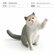 Мини-фигурка кошки British, PL127-3370