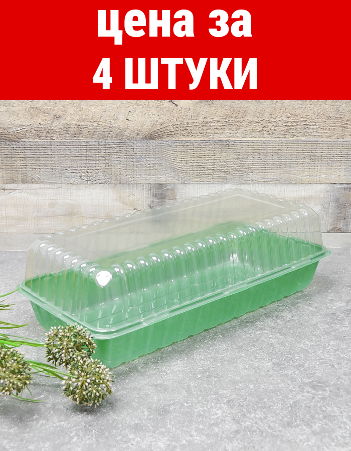 Комплект 4 шт, Парник для рассады 3 места, 44*22*6.5см (ВЗ*300, ДЗ*150)