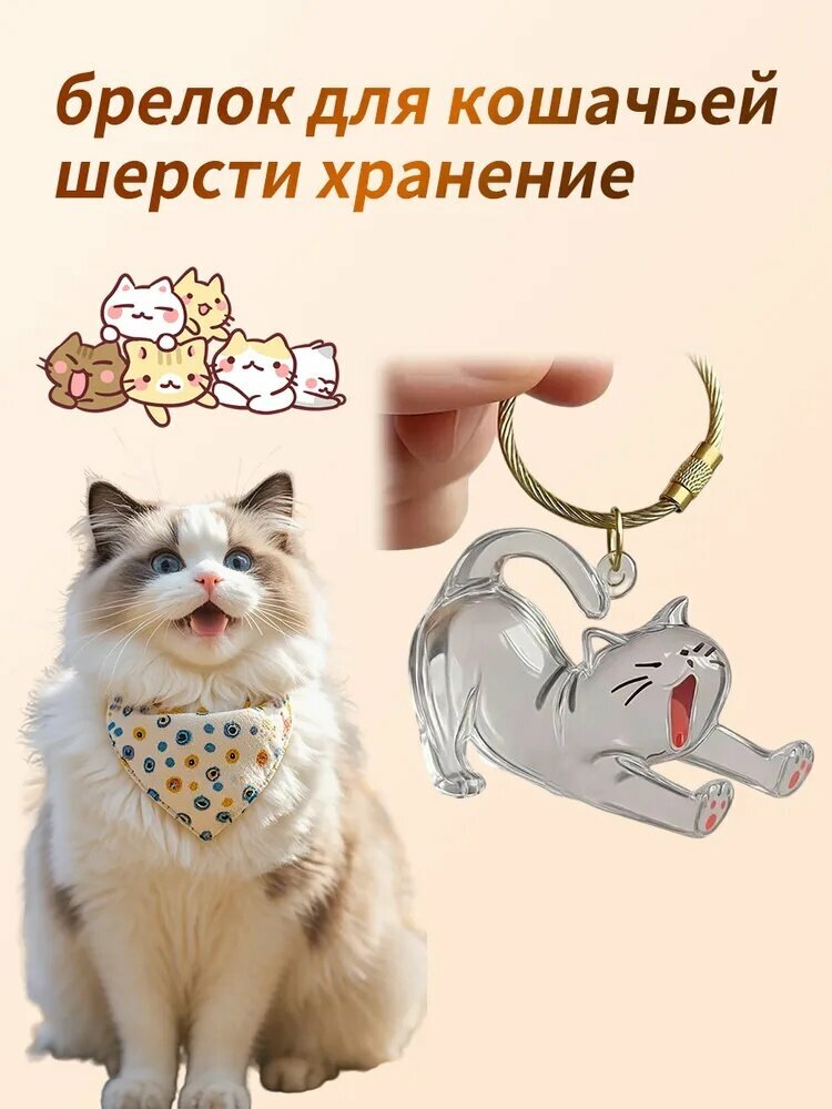 Прозрачная капсула для хранения кошачьей шерсти, пластиковый контейнер-брелок, коллекционный аксессуар для любителей кошек