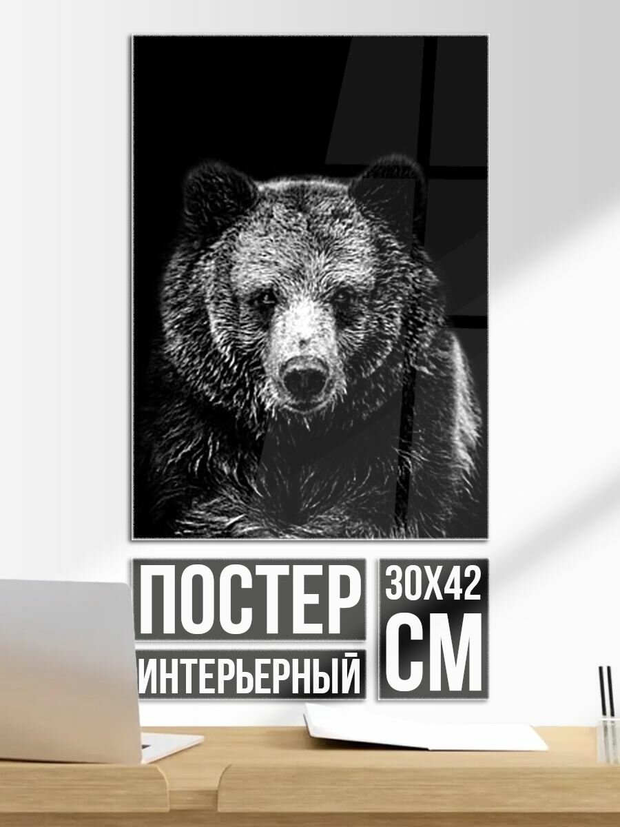 Постер на стену Медведь тотем славян