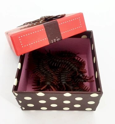 Коробка-сюрприз с реалистичными фальшивыми тараканами и игрушками в виде мелких животных 15 маленьких сороконожек в