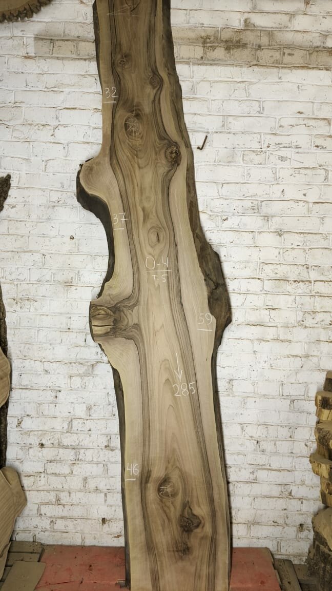 Слэб дерева Орех грецкий О4, высота 285 см, выровнен в плоскости