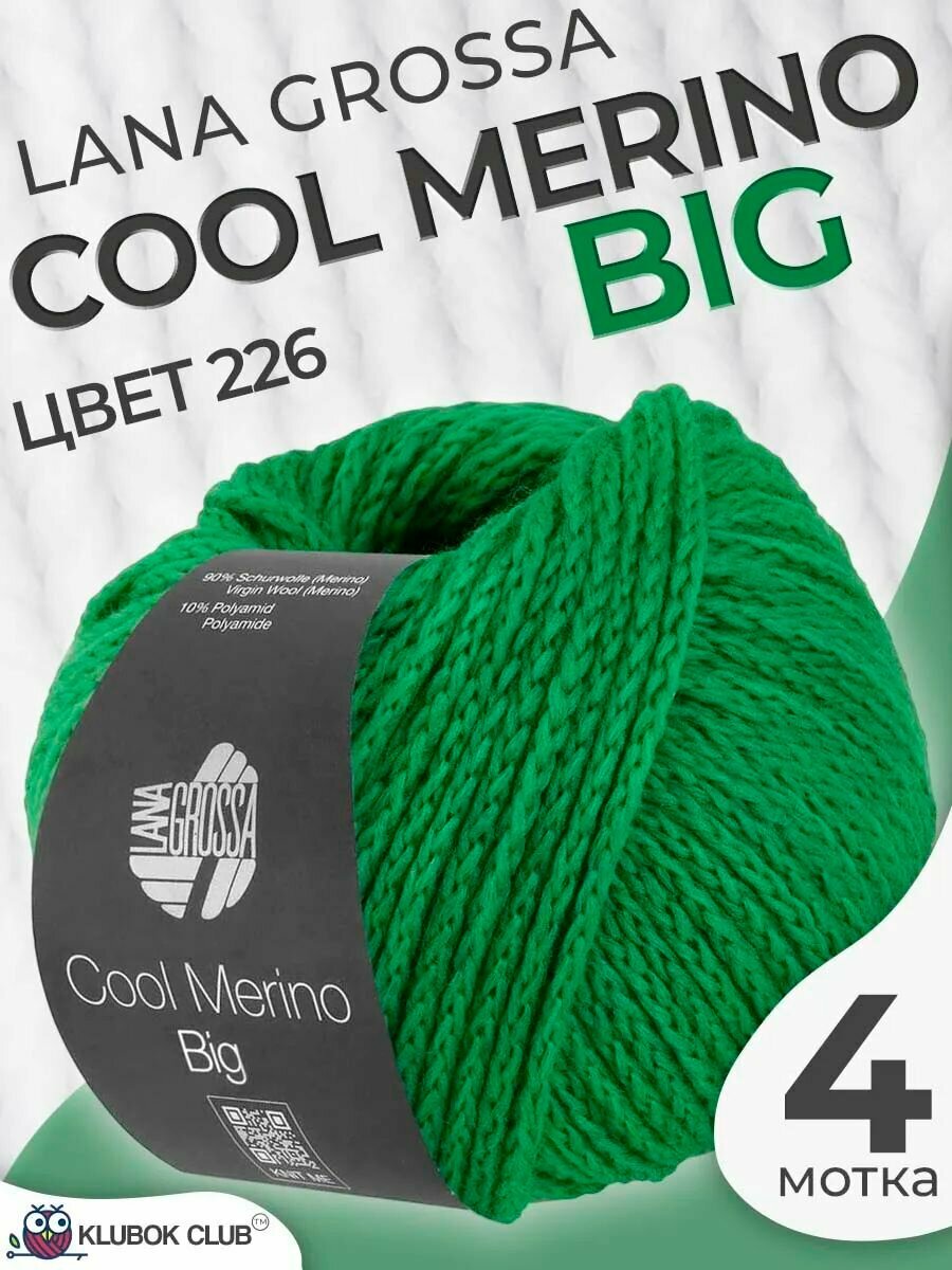 Пряжа для вязания Lana Grossa Cool Merino Big шнурок, цвет 226, 4 мотка