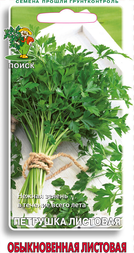 Семена Петрушка «Обыкновенная листовая», для дачи, сада, огорода и на рассаду