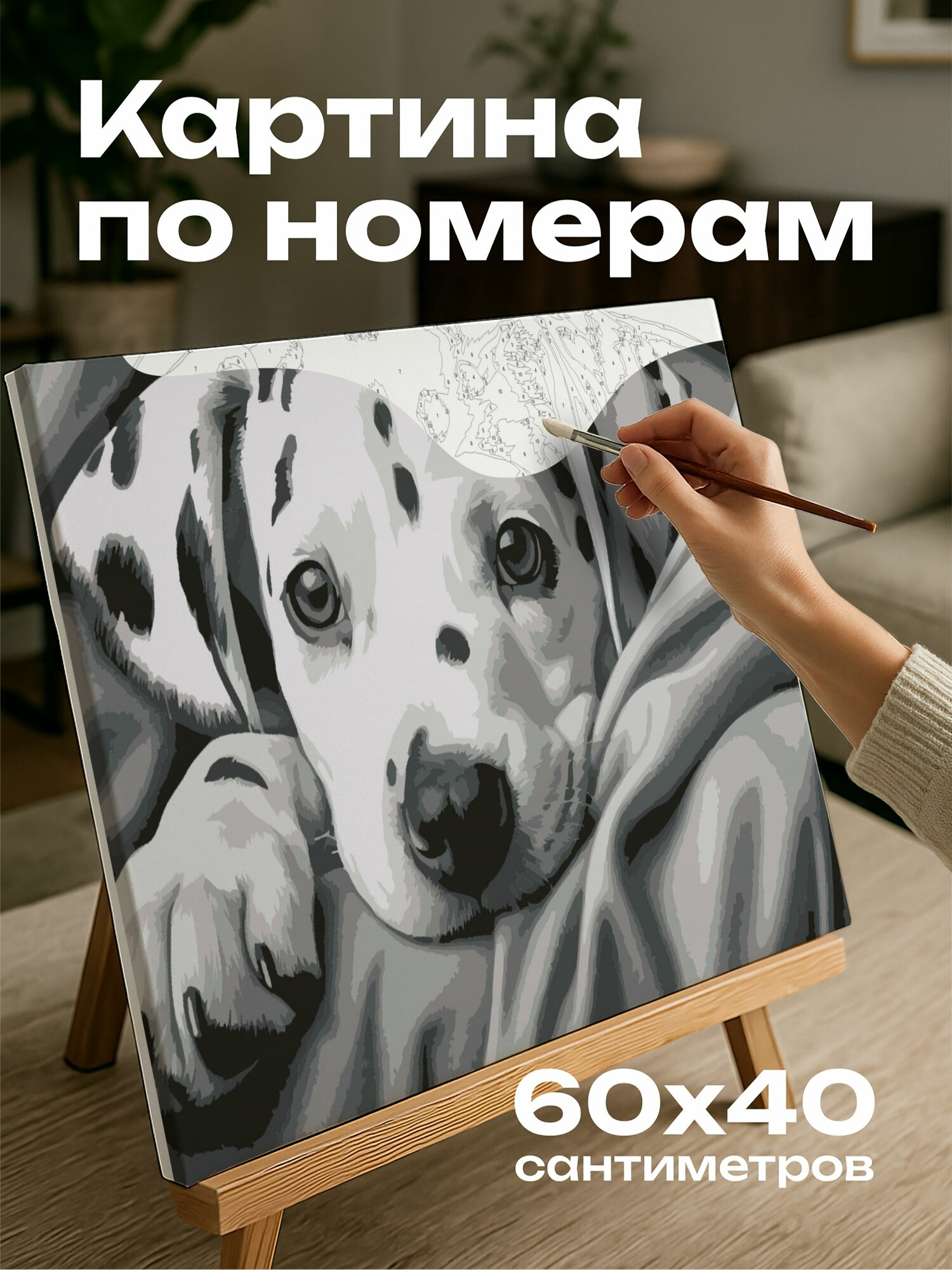 Картина по номерам 60x40 см, рисунок, графит, далматинец, калачиком, уютный уголок, мягкие оттенки, изящные линии