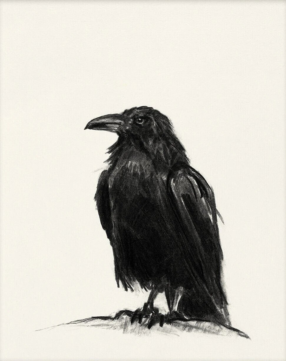 Настенная картина река ворон холст Черный, T81388-03, 10x15cm No Frame