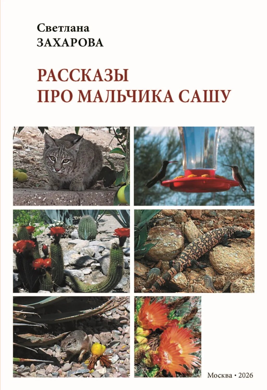 Рассказы про мальчика Сашу [Цифровая книга]