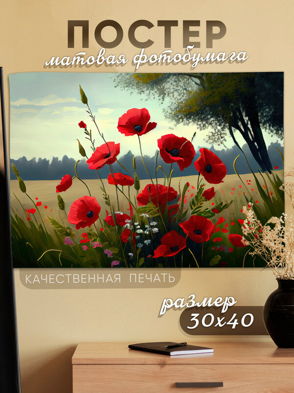 Постер Маки красивые цветы эстетика природа (16) 30х40