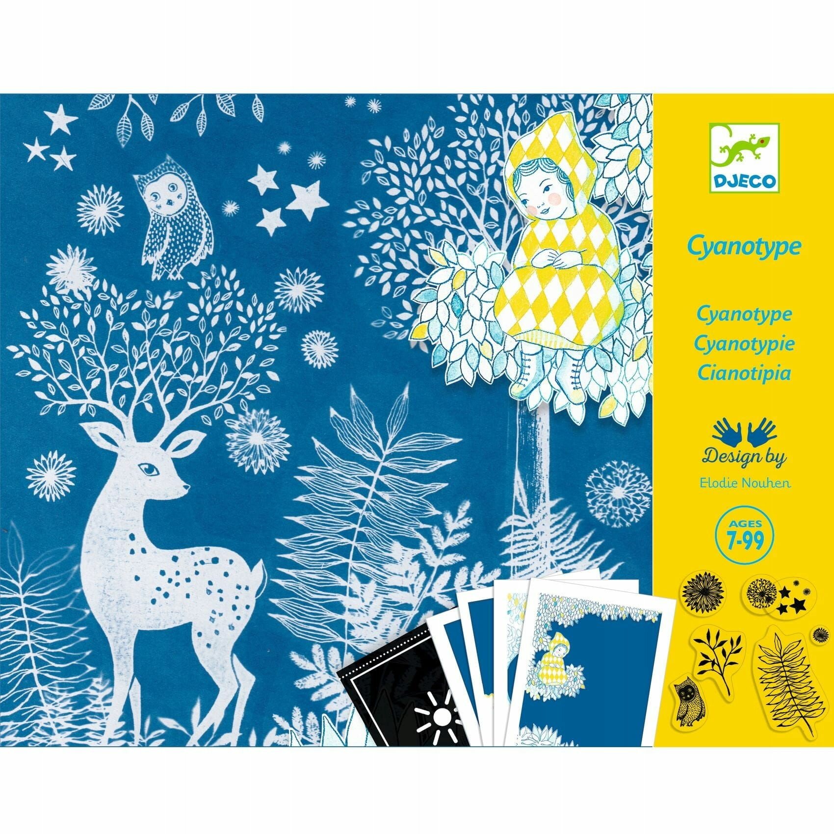 Набор для творчества Djeco - Набор "Ночь цианотипии" - DJ09342