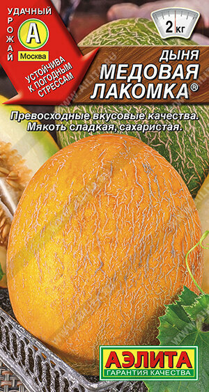 Дыня Медовая лакомка