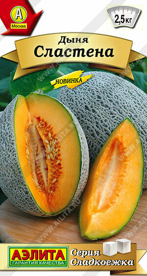 Дыня Сластена