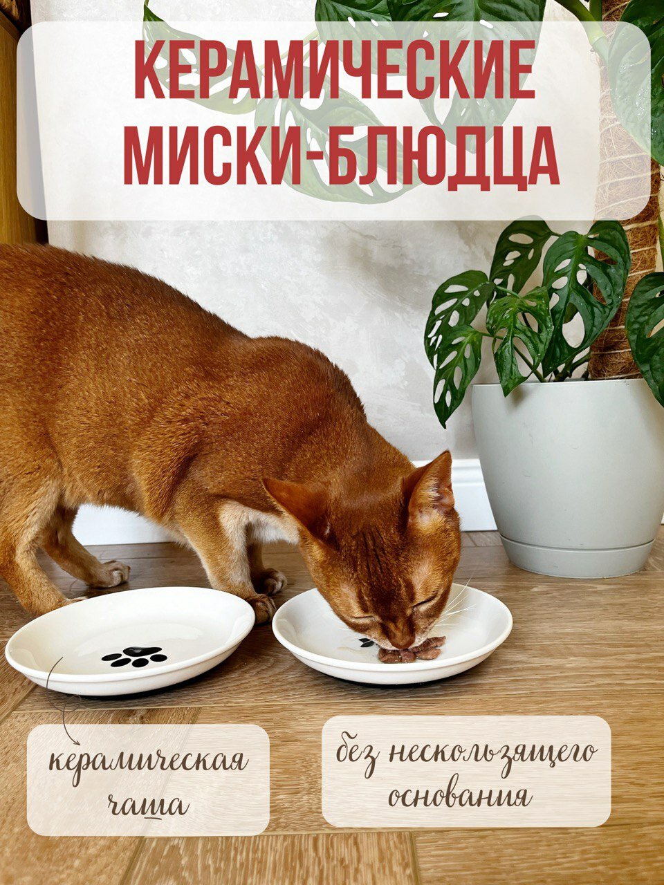 Набор мисок, керамика, для кошек и собак, 2 блюдца по 200 мл