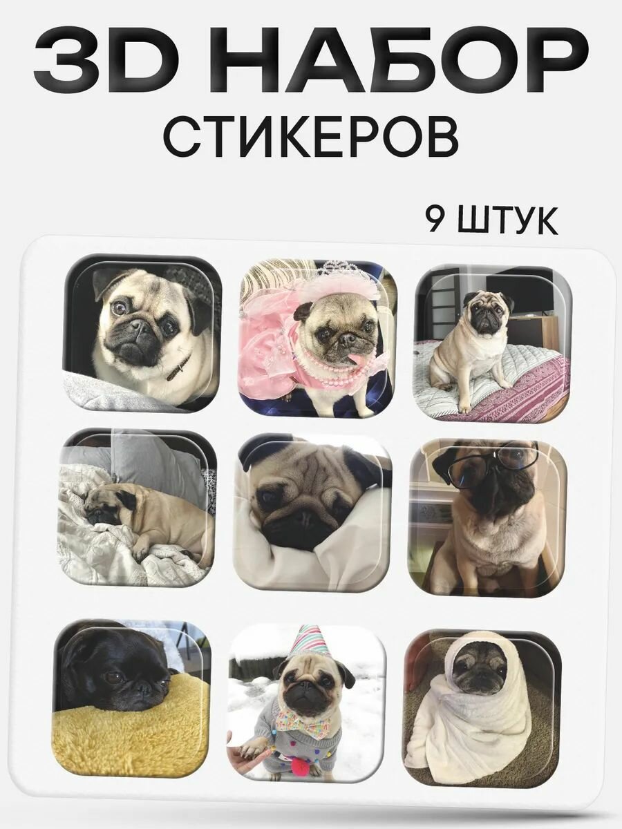 3D стикеры на телефон мопс