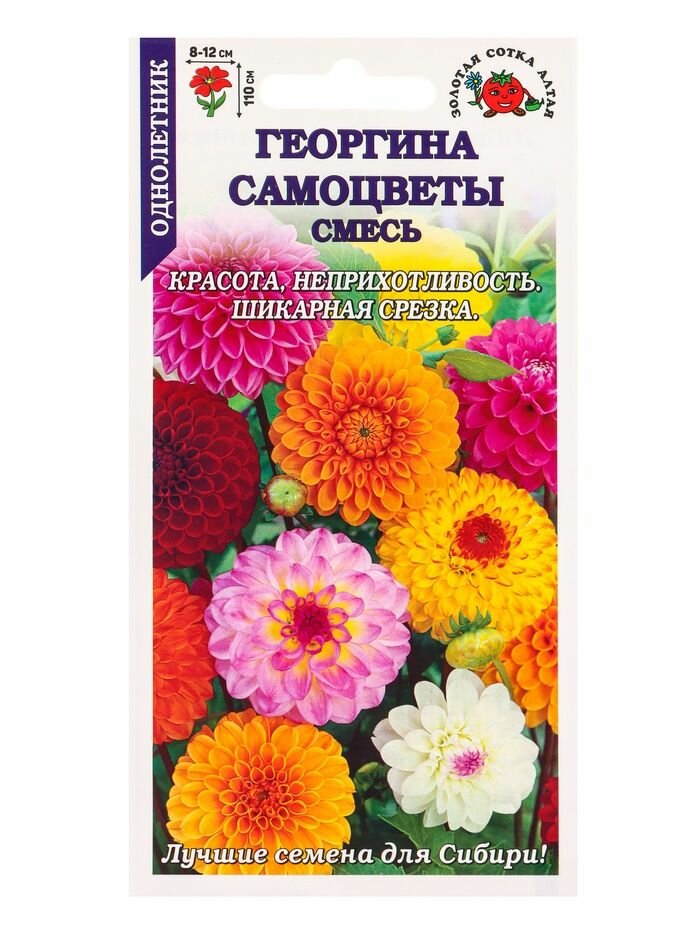 Семена Георгина шаровидная Самоцветы смесь , 0.1 г, Золотая Сотка Алтая