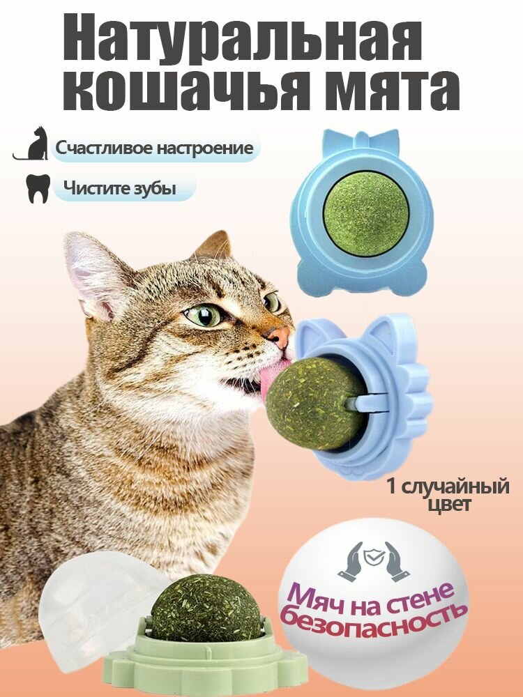 Кошачья мята шарик, игрушка с кошачьей мятой для кошек, с витаминами, Может прилипать к стене
