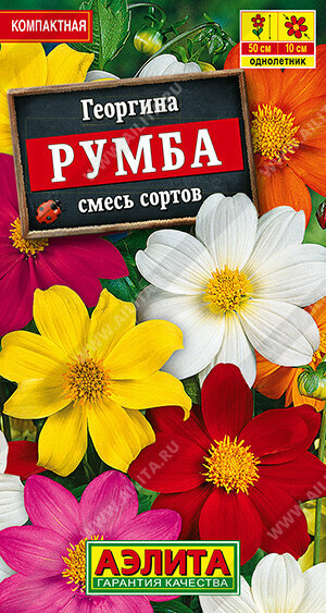 Семена георгины Аэлита "Румба", смесь сортов, низкорослая, крупноцветковая, 1 пакет