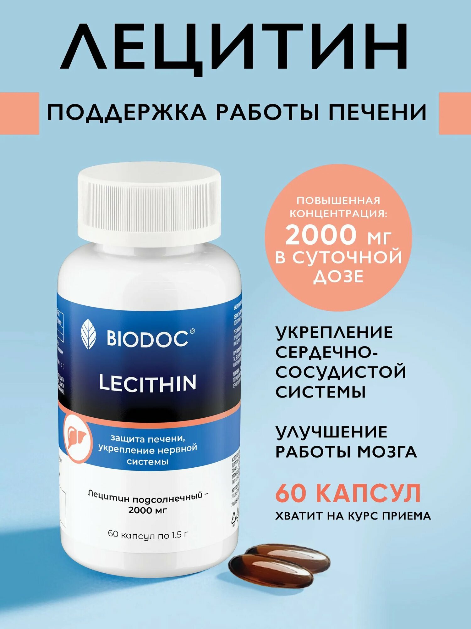БАД "BIODOC", лецитин, защита печени, укрепление нервов, 60 капс по 1500 мл, Россия