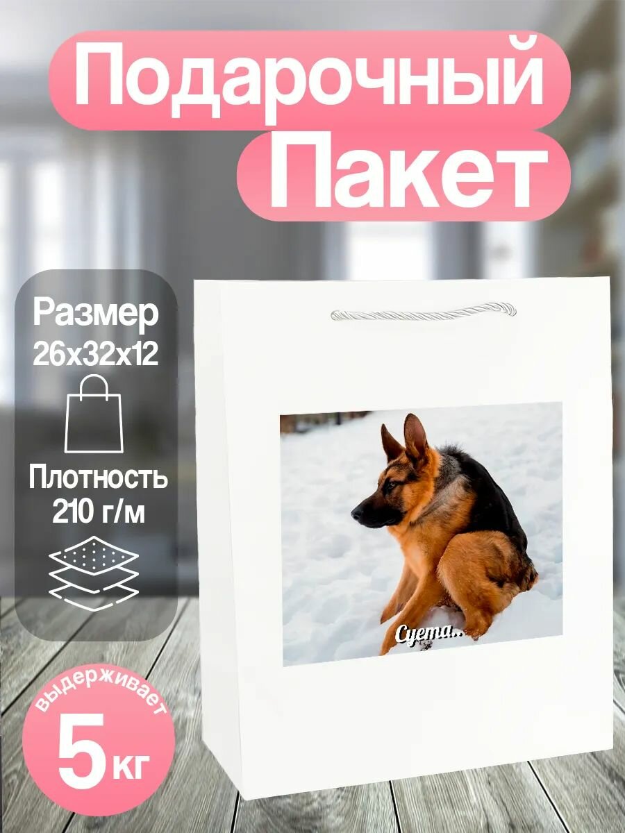 Пакет подарочный мем котики