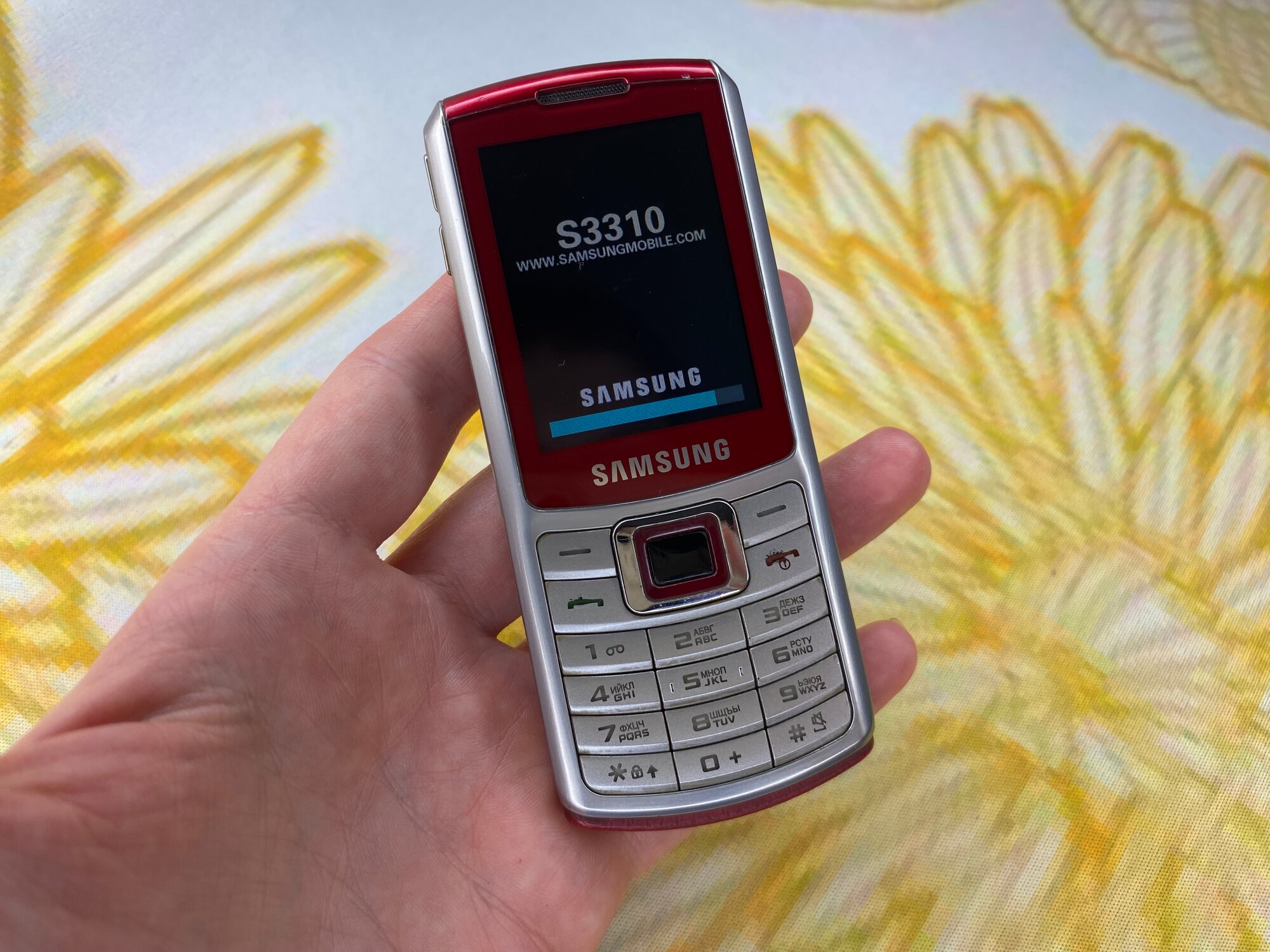 Samsung S3310