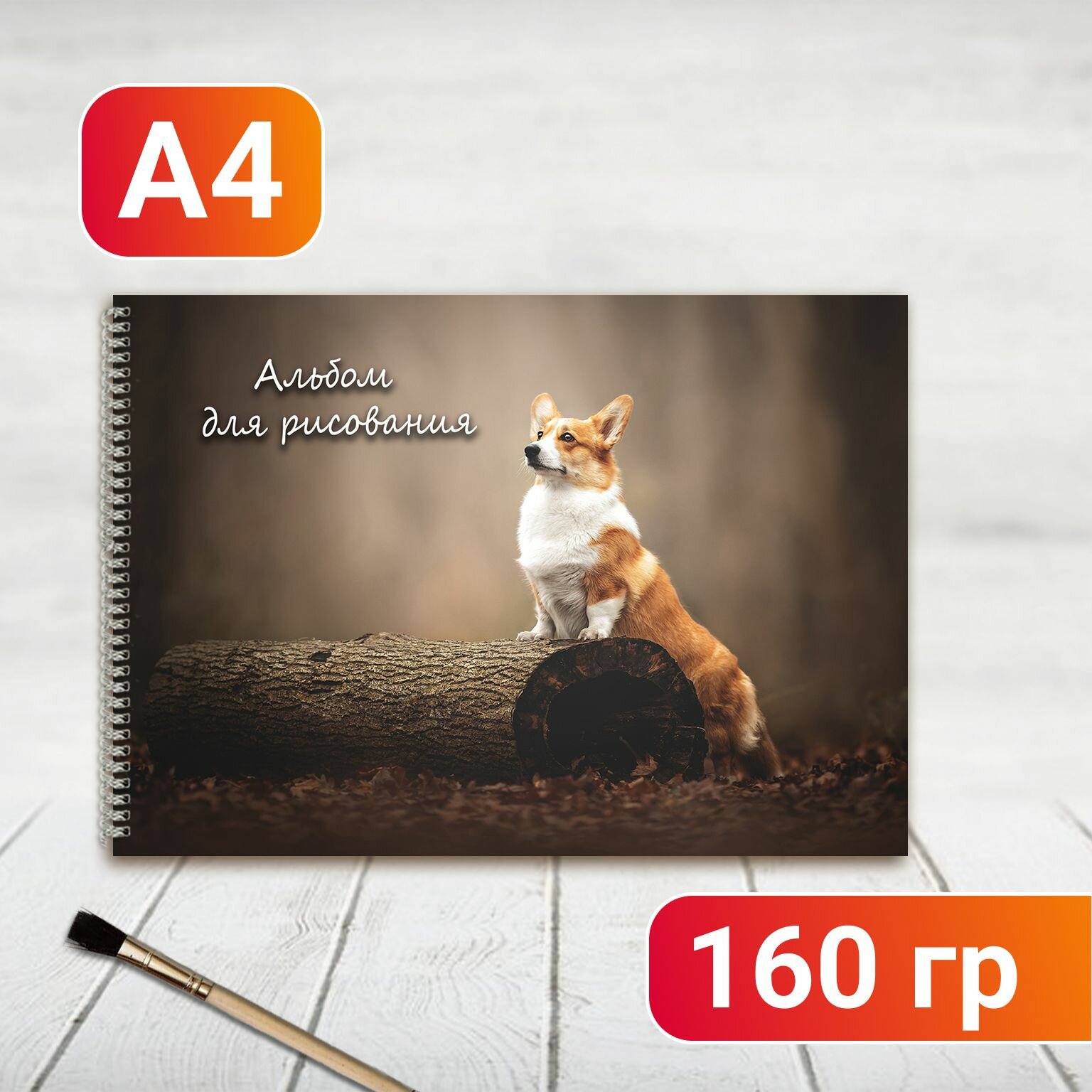 Альбом для рисования Корги