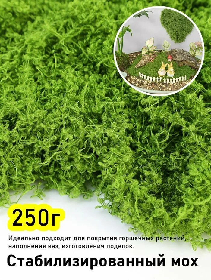 Стабилизированный мох Мох, 50 гр, 5 шт