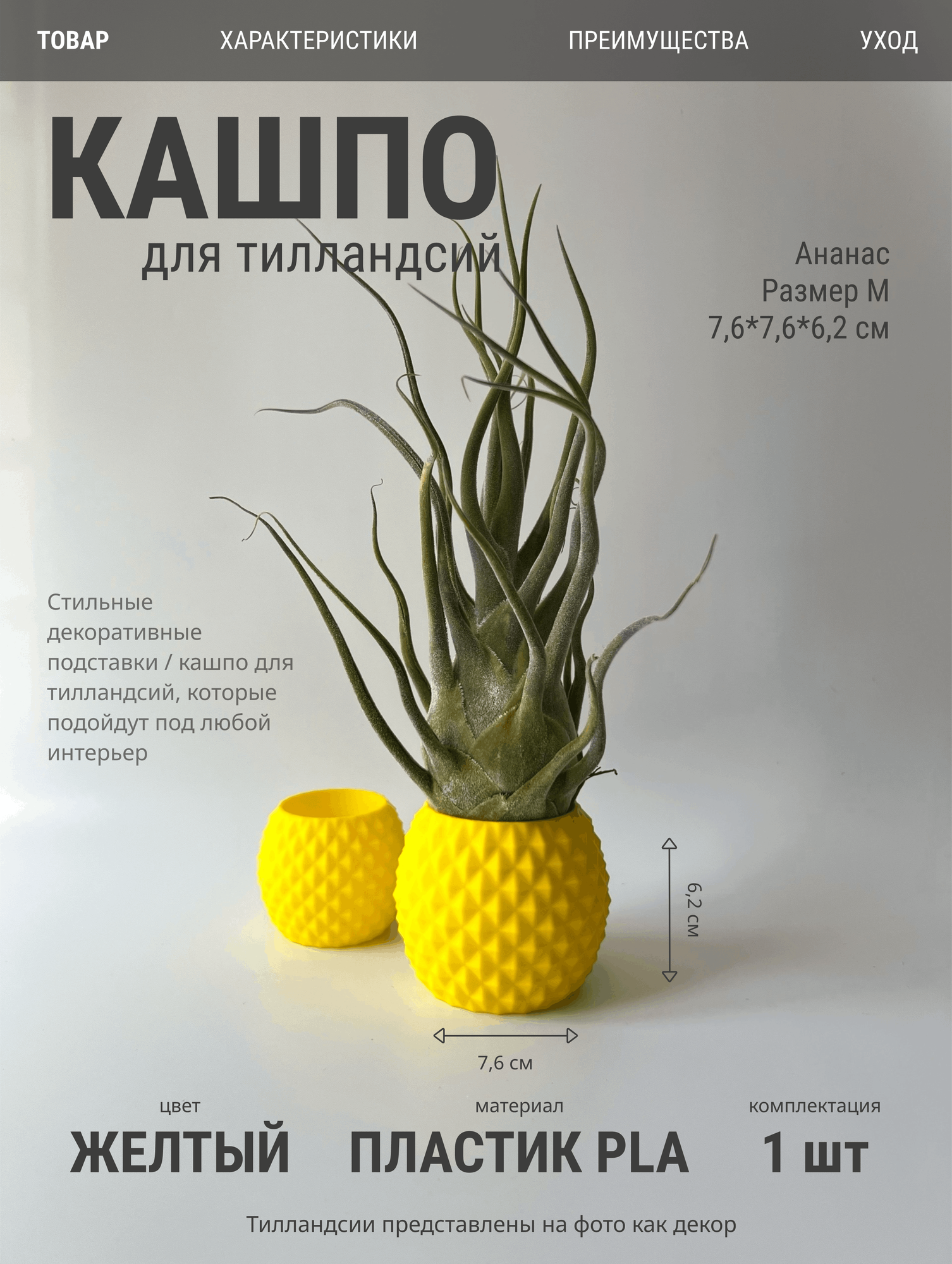 Подставка для тилландсий "Ананас", M